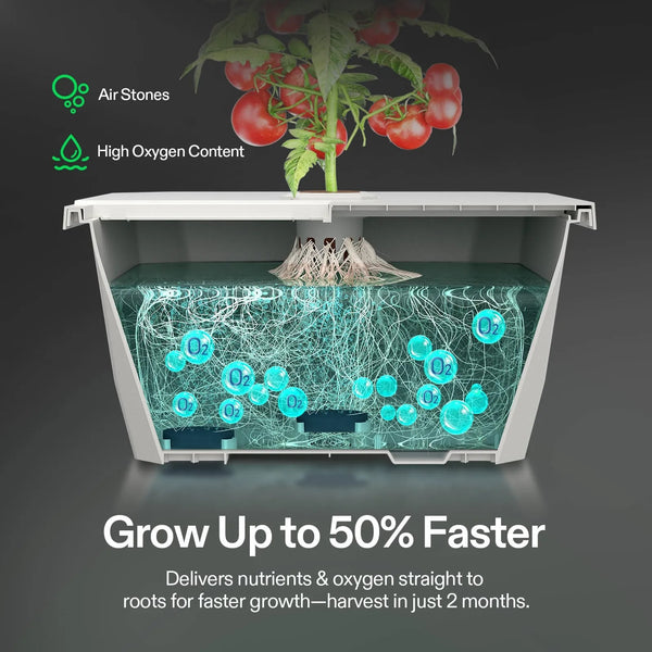 VGrow DWC Hydroponic System | 4-Gallon Smart Deep Water Culture Kit ...